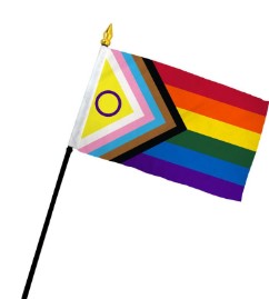 Inclusive Pride Flag 3 x 5 and 2 X 3ft Polyester Flags | Buy Online - 1 ...